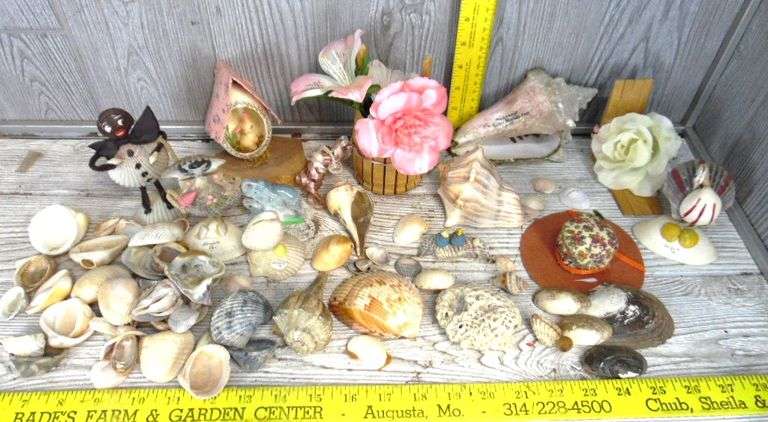 Sea Shell Decorations - Dunker Auction