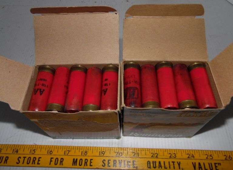 Assorted Shells - Dunker Auction