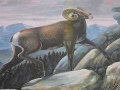 Prints: "Shelfrock Ridge" & "High Staircase" by Patrick Soper - Dunker ...