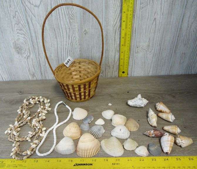 Sea Shells, Necklaces & Basket - Dunker Auction
