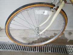 Western Flyer Special Edition Ten Speed - Tires Bad - Dunker Auction