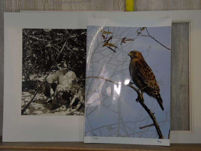Signed/Numbered Hawk Prints By R. Boggs & Picture Mats - Dunker Auction
