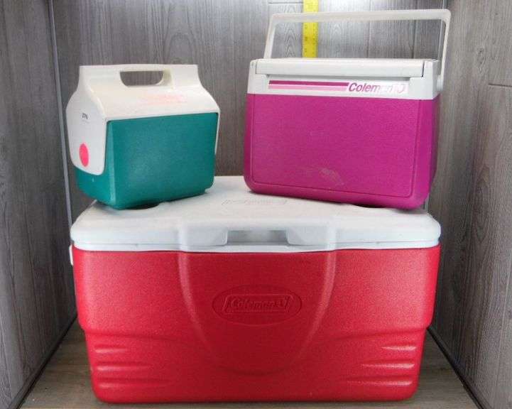 Coleman & Igloo Coolers - Dunker Auction