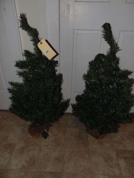 Two 3 Ft Tall Evergreen Trees - Untested - Dunker Auction