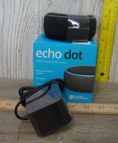Echo Dot - Dunker Auction