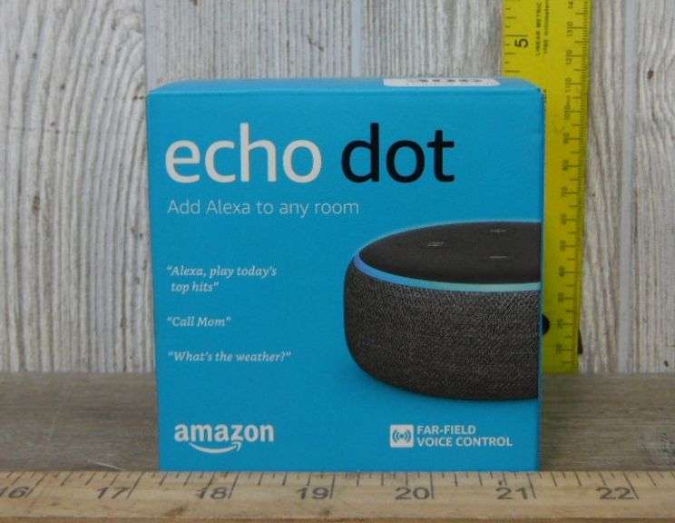 Echo Dot - Dunker Auction