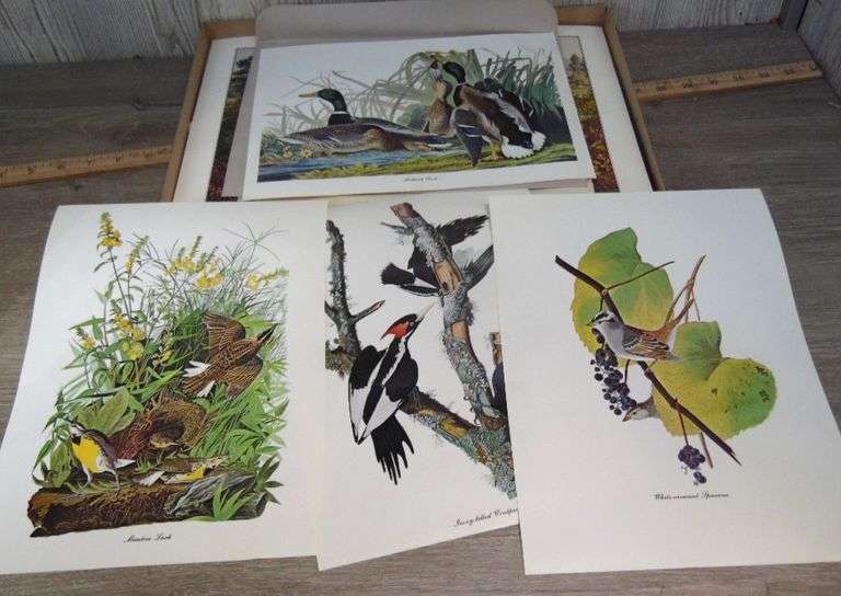 Currier & Ives & Bird Wall Prints & Art Expressions Frame - Dunker Auction