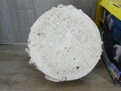 10" Buffer/Polisher - Dunker Auction