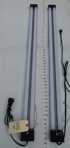 Dual Lighting Fixture - Dunker Auction