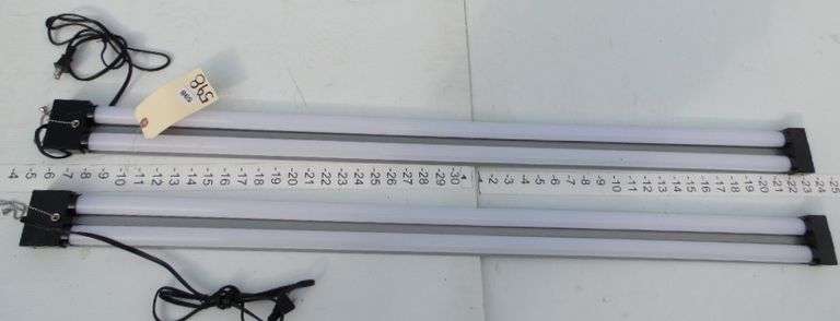 Dual Light Fixtures - Dunker Auction