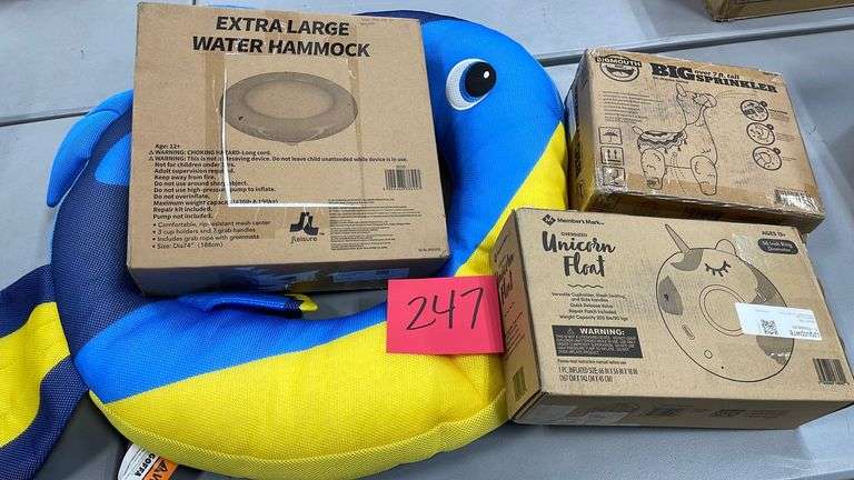 (4) ASSORTED POOL FLOATS - Earl's Auction Company
