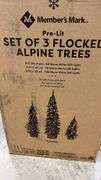 (2) SET OF 3 FLOCKED ALPINE TREES IN BOXES - Earl's Auction Company