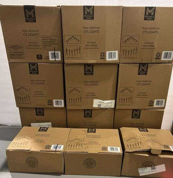 (12) BOXES OF DUAL USAGE LED C9 LIGHTS - WARM WHITE - Earl's Auction ...