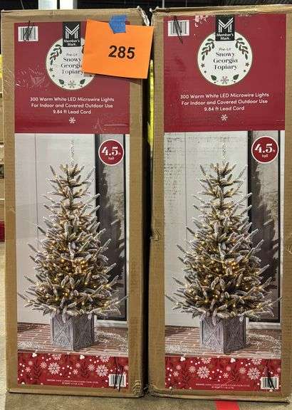 (2) PRE-LIT SNOWY GEORIGA TOPIARIES IN BOX - Earl's Auction Company