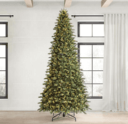 12FT PRE LIT AUGUSTA PINE TREE IN BOXES - Earl's Auction Company