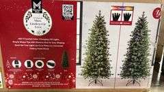 7FT PRE LIT SLIM LINDEN FIR TREE IN BOX - Earl's Auction Company