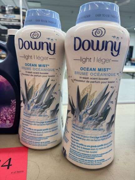 4PC DOWNY LAUNDRY LOT - Earl's Auction Company