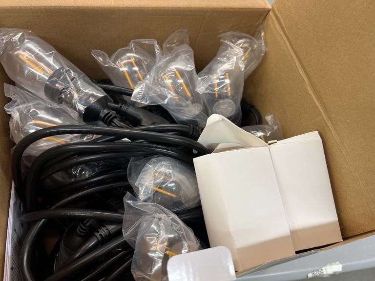 (2) ECO SCAPES OUTDOOR LED CAFE LIGHTS IN BOXES - Earl's Auction Company