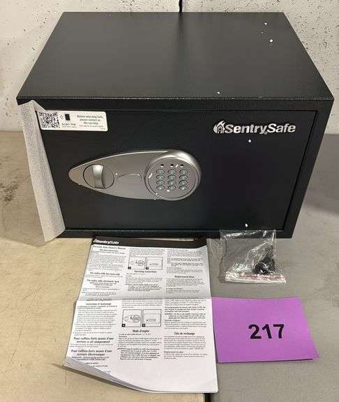 SENTRYSAFE SMALL SECURITY SAFE W/ KEYS - Earl's Auction Company