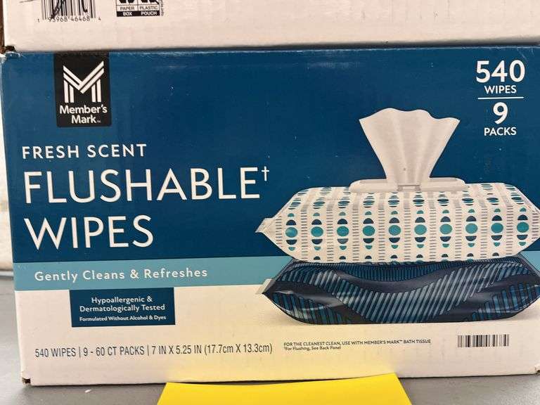 (2) BOXES OF FLUSHABLE WIPES - Earl's Auction Company