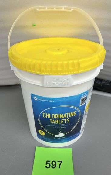 40LB BUCKET OF CHLORINATING TABLETS - Earl's Auction Company