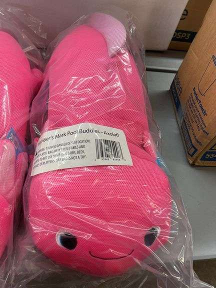 (2) AXOLOTL MESH POOL FLOATS - Earl's Auction Company