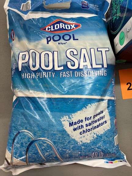 BAG OF CLOROX POOL SALT & BOX OF SHOCK - Earl's Auction Company