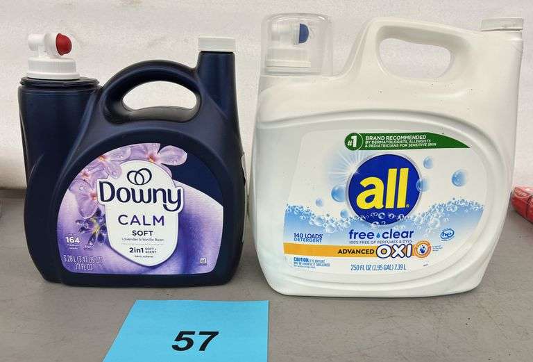 2PC LAUNDRY LOT - ALL & DOWNY - Earl's Auction Company