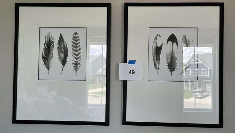 (2) FRAMED FEATHER WALL ART - Earl's Auction Company