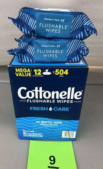 BOX OF FLUSHABLE WIPES & (2) PACKS - Earl's Auction Company