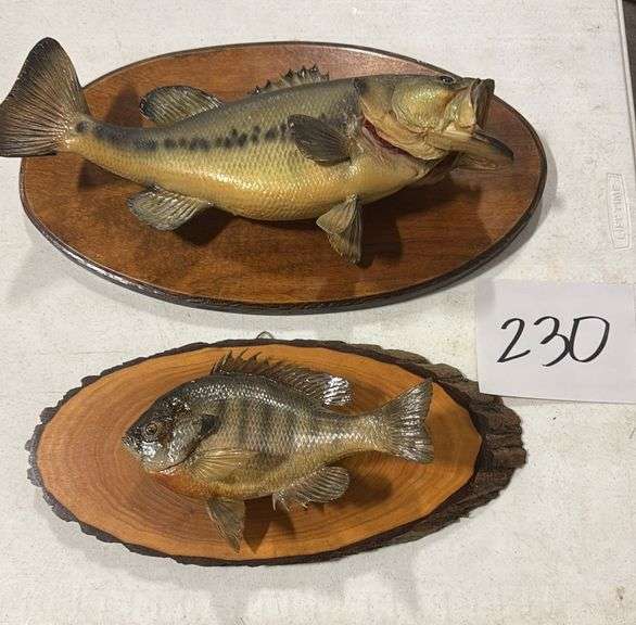 (2) FISH PLAQUES - Earl's Auction Company