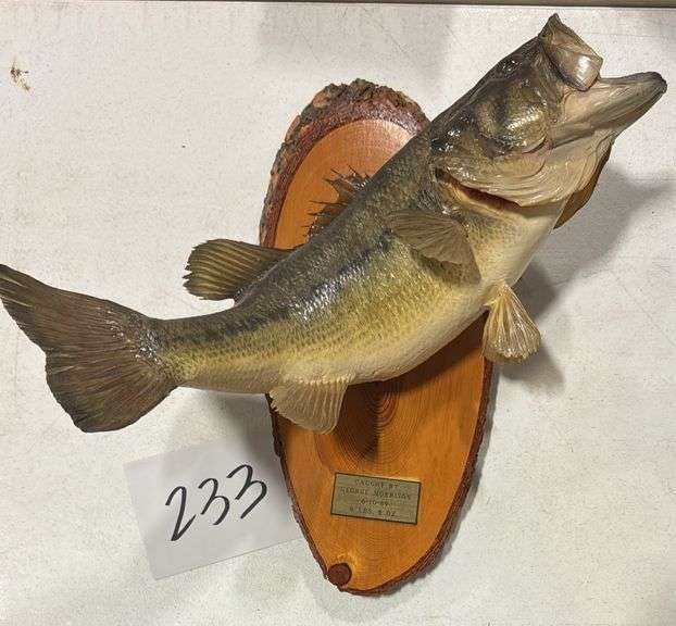FISH WALL PLAQUE - Earl's Auction Company