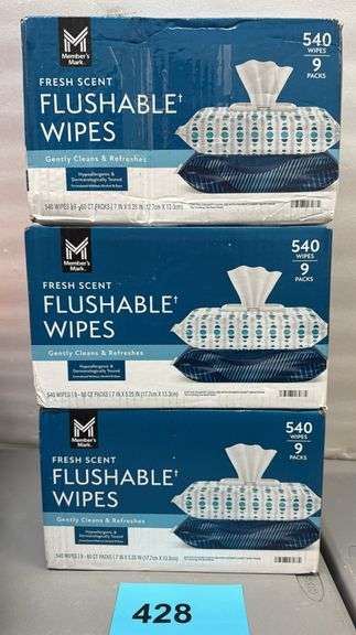(3) BOXES OF FLUSHABLE WIPES - Earl's Auction Company