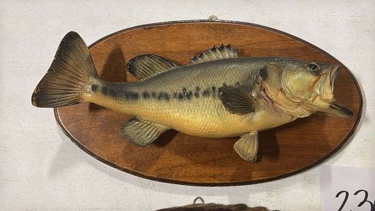 (2) FISH PLAQUES - Earl's Auction Company