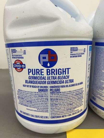 (6) JUGS OF PURE BRIGHT GERMICIDAL BLEACH - Earl's Auction Company