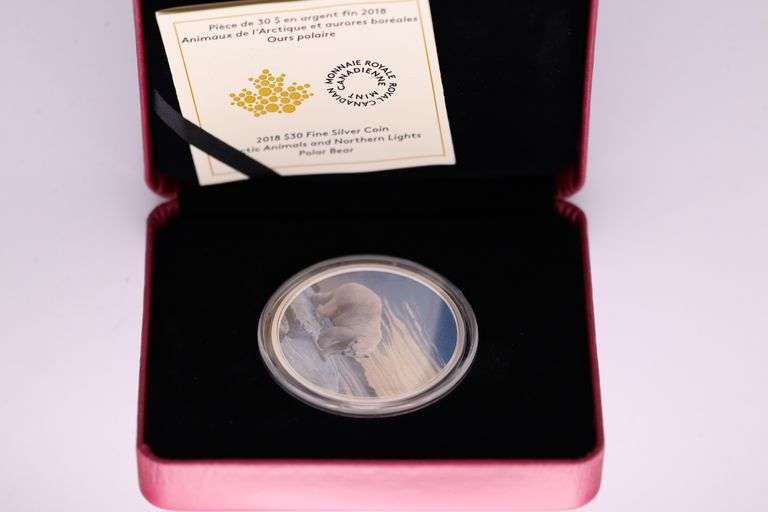 2018 $30 Arctic Animals and Northern Lights: Polar Bear - 2oz Pure ...