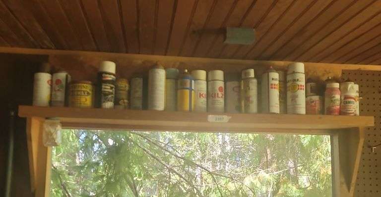 Spray Paint - Auction Services LTD