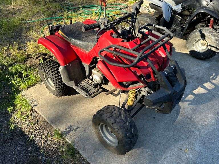 Mini 4 Wheeler - Fragodt Auction and Real Estate LLC