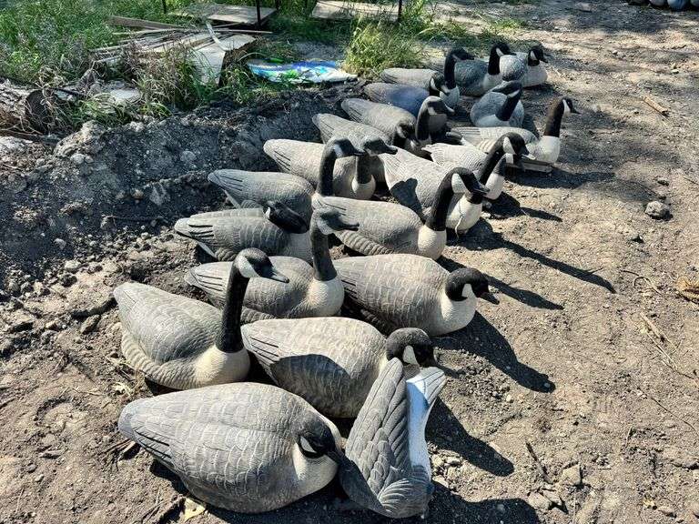 (20) Greenhead Plus Sized Floating Goose Decoys, Buying All for One ...