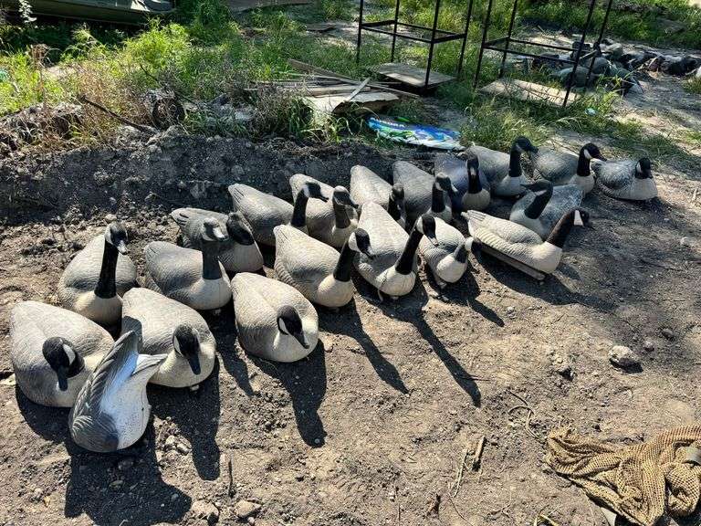(20) Greenhead Plus Sized Floating Goose Decoys, Buying All for One ...