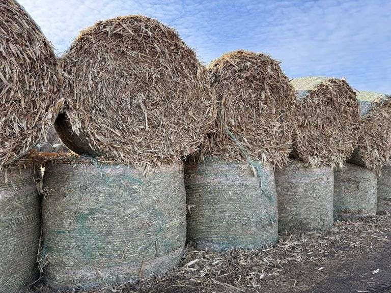 (15) Net Wrapped Cornstalk Bales, Baled with a John Deere 568 Baler ...