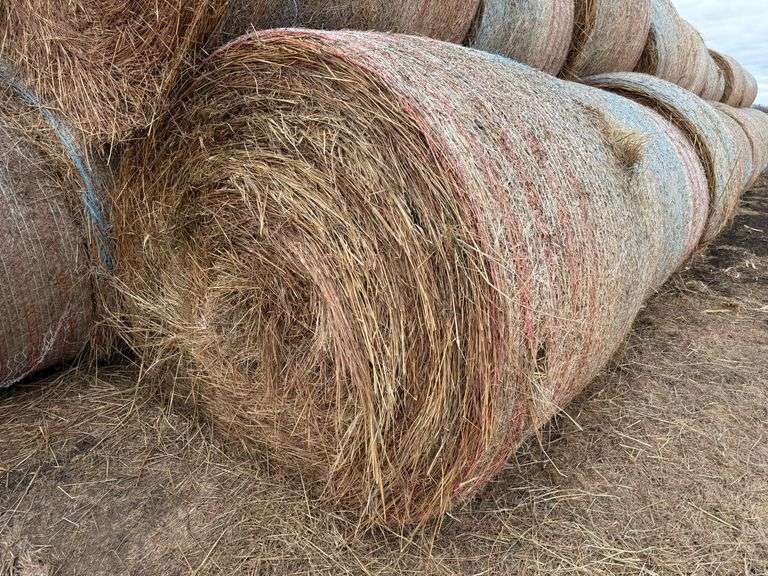 (10) 5.5 x 5 Net Wrapped Mixed Grass Bales, Baled in 2024 - Fragodt ...