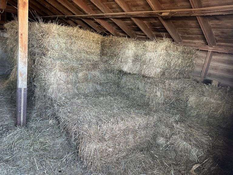 (50) Small Square Bales of Grass Hay, Stored Inside, Buying All for One ...