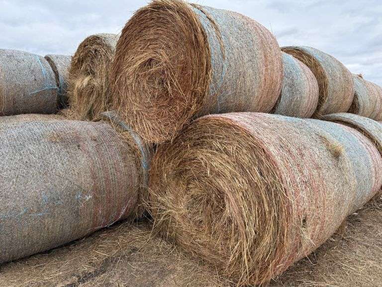 (10) 5.5 x 5 Net Wrapped Mixed Grass Bales, Baled in 2024 - Fragodt ...