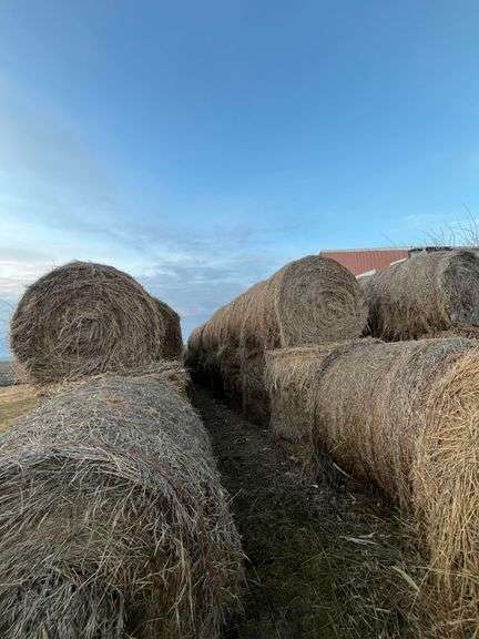 (10) 2024 Grass Hay Bales, 5x5, Approx 1500lb, Baled with a John Deere ...