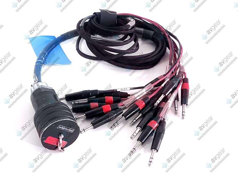 5' Audio Cable - Whirlwind W5RIP to (16) Fan Out Male 1/4 Inch Speaker ...