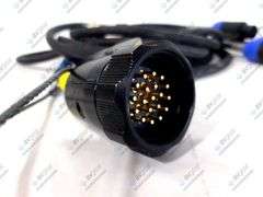 (2) Socapex to NL8 Fanout Cables - Lengths 7.5', 10', and 12' - Joseph ...