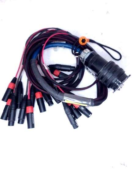 5' Audio Cable - Whirlwind W5IRP 48-Pin MicroMASS Multipin to Fanout (8 ...