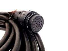 50' 600V Audio Cable - 19-Pin Socapex Male to 19-Pin Socapex Female ...