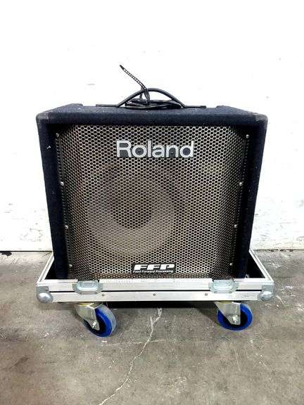 Roland DB-500 Bass Amplifier In Roadie Hard Wheeled Case - Joseph Finn ...